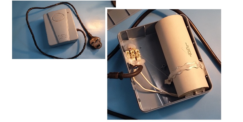 Pants on Fire Award | VESMA.COM